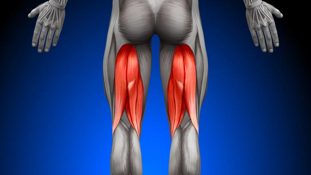 Lesione muscolare ischiocrurali - FisioScience
