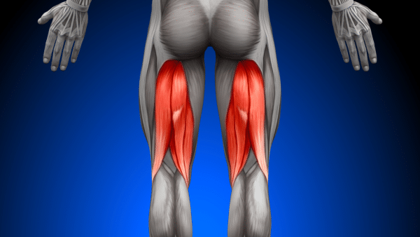 Lesione muscolare ischiocrurali - FisioScience