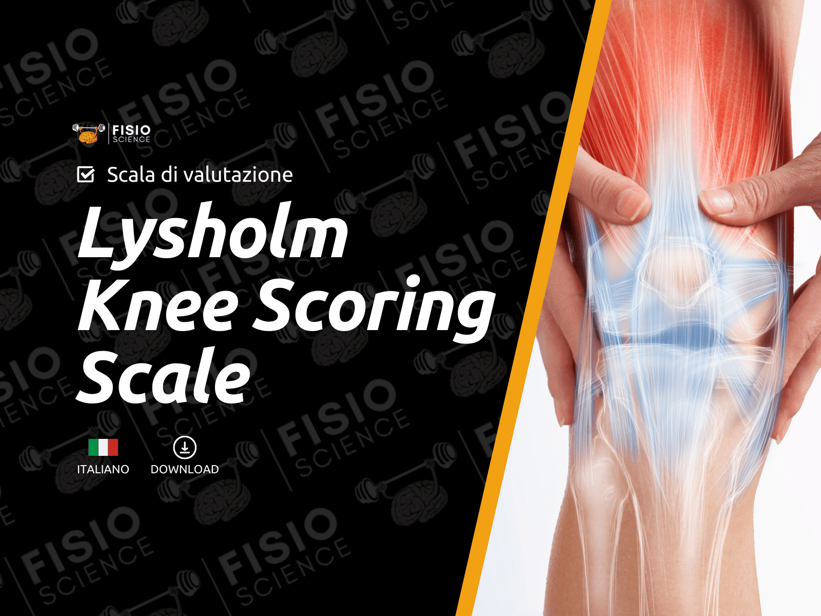 Lysholm Knee Scoring Scale - FisioScience