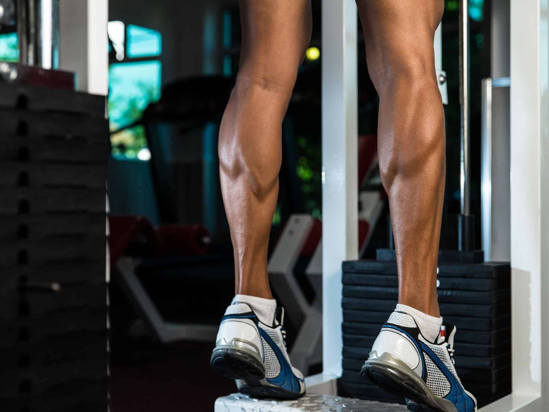 Tendon Neuroplastic Training - FisioScience