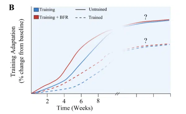 Blood Flow Restriction Training (BFRT): verso una nuova definizione di ...